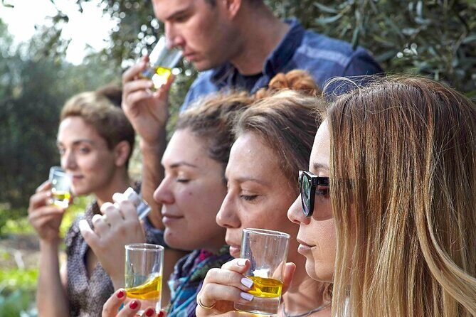 Bio Farm Private Olive Oil Tasting, Farm to Fork Meal & Temple of Poseidon Tour - Exploring the Bio Farm Private Olive Oil Tasting, Farm to Fork Meal & Temple of Poseidon Tour