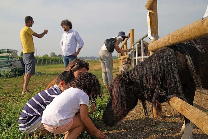 Biodynamic Farm and Natural Wines Tasting in Lazise - Who Should Consider This Tour