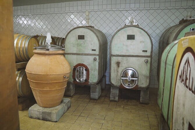 Biodynamic Wine Tasting with Producer in Vinci - Final Thoughts