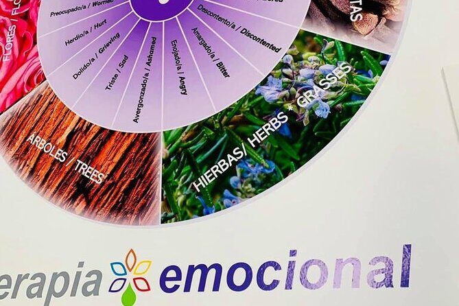 Bioenergetic manual therapies - FAQ (Frequently Asked Questions)  