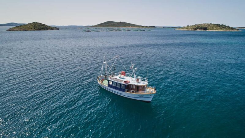 Biograd: Authentic Family friendly Fishing tour in Croatia. - Authentic Fish, Friendly Guides, and Scenic Views