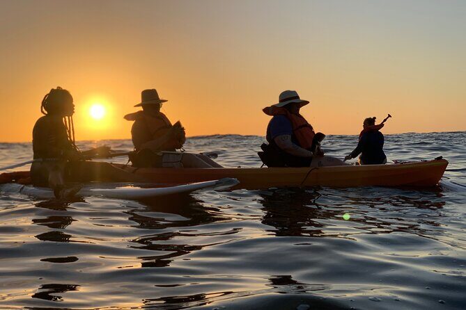 Bioluminescence by kayak or SUP to Los Arcos Puerto Vallarta - A Deep Dive into the Experience