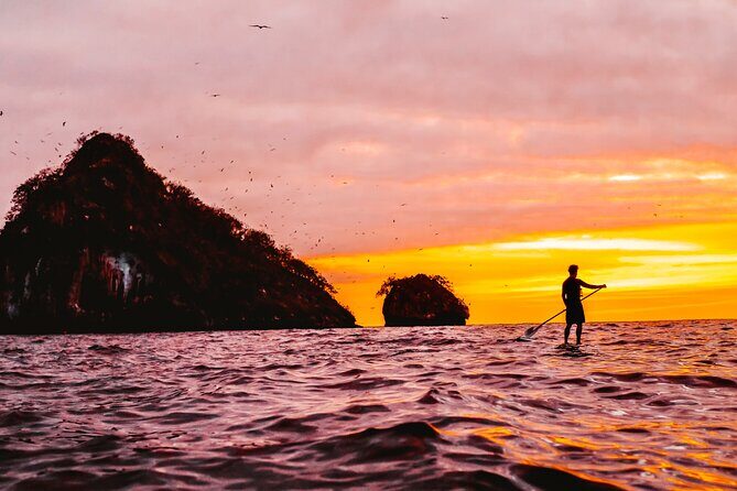 Bioluminescence by kayak or SUP to Los Arcos Puerto Vallarta - The Sum Up