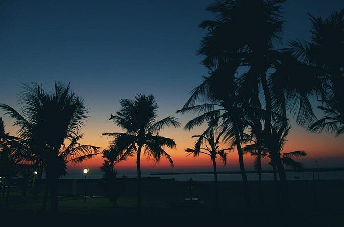 Bioluminescence from Puerto Escondido - Practical Tips for Your Bioluminescence Tour