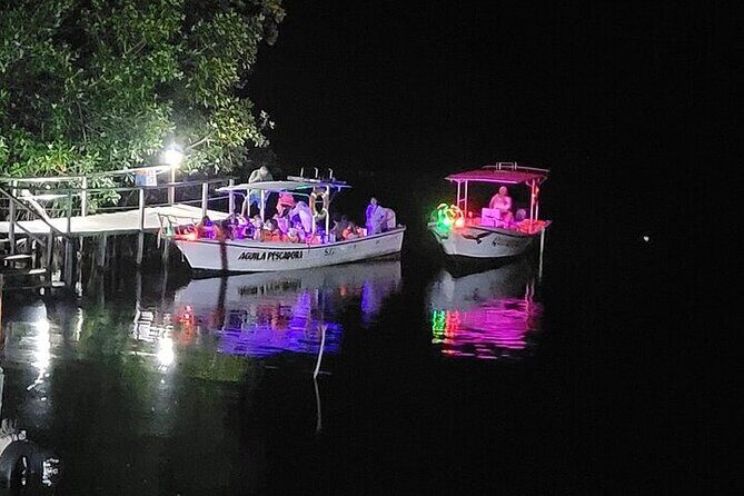 Bioluminescence in Manialtepec Night Tour from Huatulco - Overview of the Tour Experience