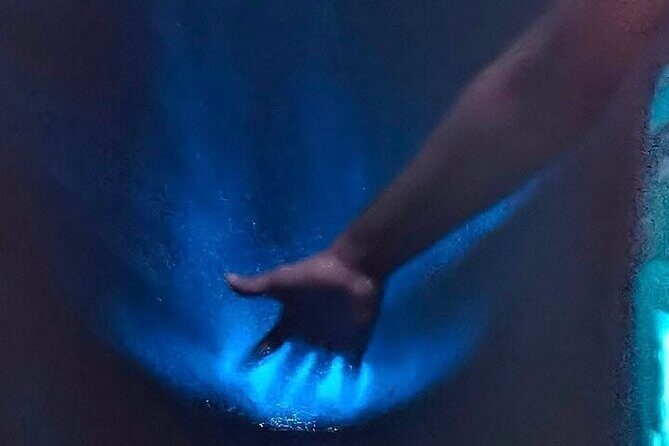 Bioluminescence in Manialtepec Night Tour from Huatulco - Who Should Consider This Tour?