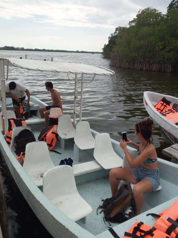BIOLUMINESCENCE IN PUERTO ESCONDIDO - Exploring Bioluminescence in Puerto Escondido: An Honest Review