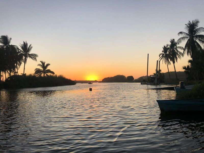 BIOLUMINESCENCE IN PUERTO ESCONDIDO - An In-Depth Look at the Bioluminescence Tour in Puerto Escondido