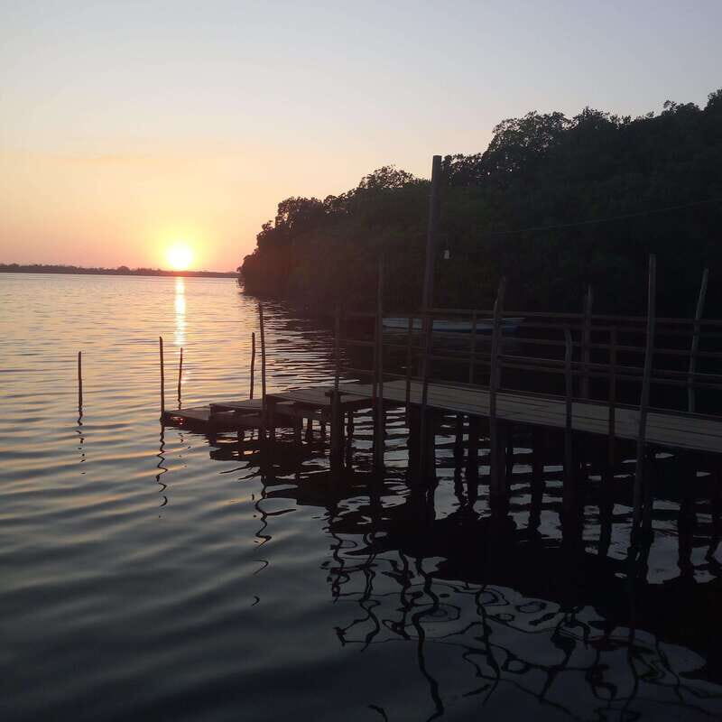 BIOLUMINESCENCE IN PUERTO ESCONDIDO - Transportation and Logistics: Making It Easy