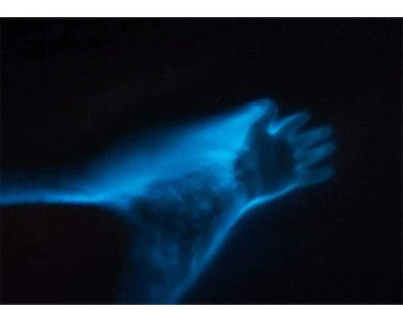 BIOLUMINESCENCE IN PUERTO ESCONDIDO - The Authenticity & Scientific Education