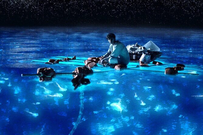 Bioluminescence Kayak Holbox  Night Eco Tour & Stargazing - The Value and Who Would Love This Tour