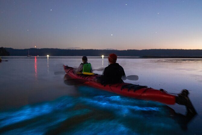 Bioluminescence Kayak Tour at Fort Flagler State Park - Introduction