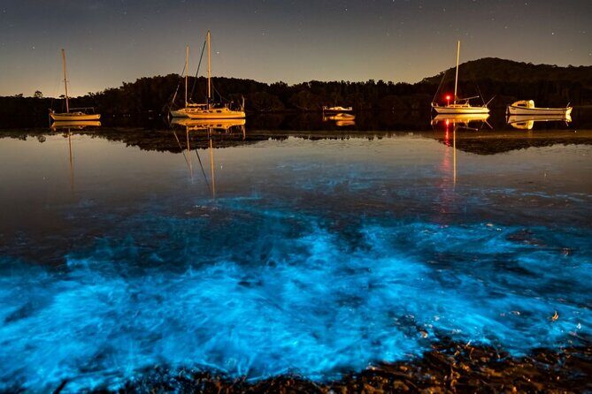 Bioluminescence Kayak Tour at Fort Flagler State Park - The Experience in Practice
