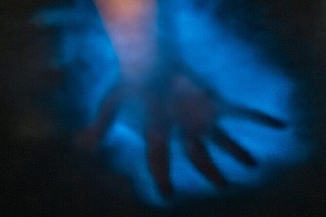 Bioluminescence Kayak Tour at Fort Flagler State Park - The Price and Its Value