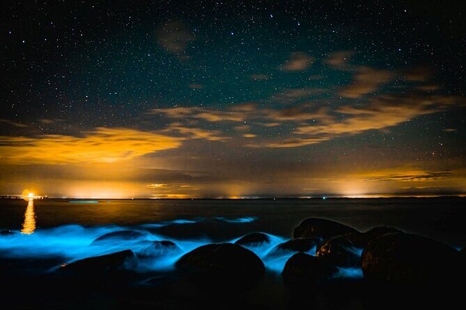 Bioluminescence Kayak Tour at Fort Flagler State Park - Who Will Love This Tour?