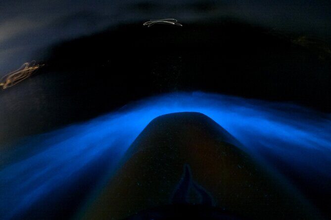 Bioluminescence Kayak Tour - Est. 1994 - Who Will Love This Tour?  