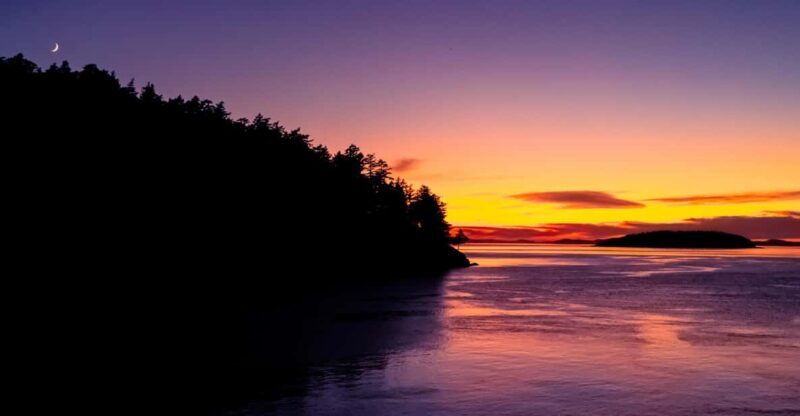 Bioluminescence Night Paddle - How the Itinerary Unfolds