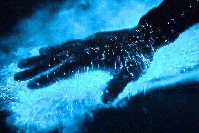 Bioluminescence & sunset local boat tour to Los Arcos Sanctuary - Key Points