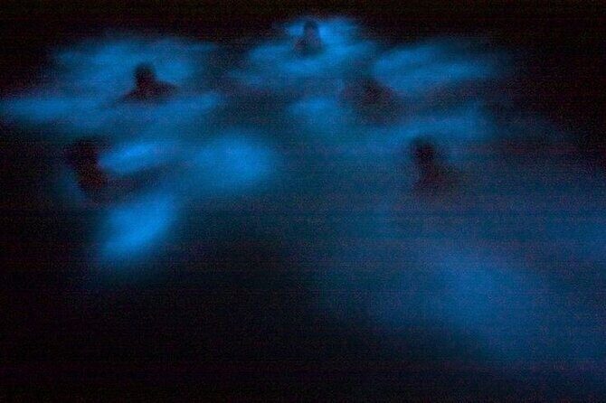 Bioluminescence & sunset local boat tour to Los Arcos Sanctuary - Who Should Consider This Tour?