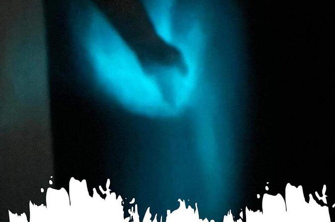 Bioluminescence swim with stars - FAQs