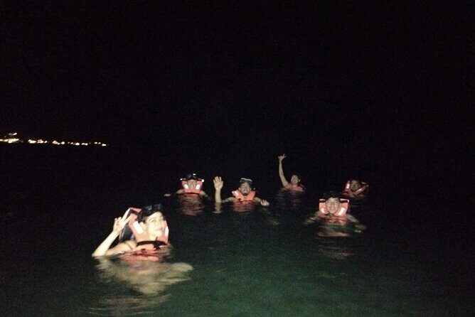 Bioluminescence Tour in Kayak in Holbox Island - Exploring the Tour in Detail