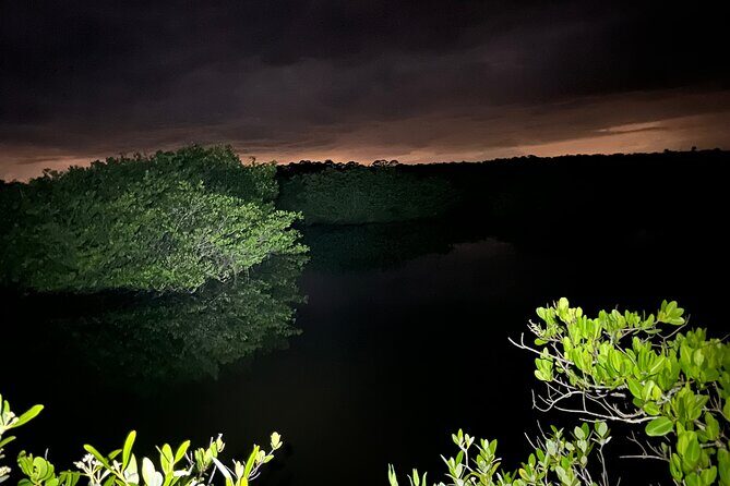 Bioluminescent Kayak Tour in Floridas Indian River Lagoon - Who Will Love This Tour?