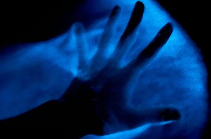 Bioluminescent Kayak Tour in Floridas Indian River Lagoon - FAQs