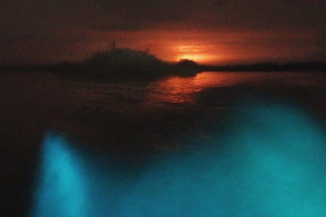 Bioluminescent Night Tour - Bioluminescent Night Tour in Puerto Escondido: A Truly Unique Experience