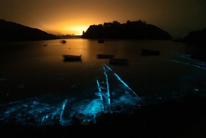 Bioluminescent Swim Experience in West Cork with Storytelling - Key Points