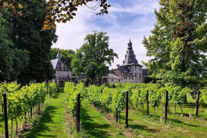 Bioul (near Dinant) : Château de Bioul Tour and Wine Tasting - An In-Depth Look at the Château de Bioul Tour and Tasting