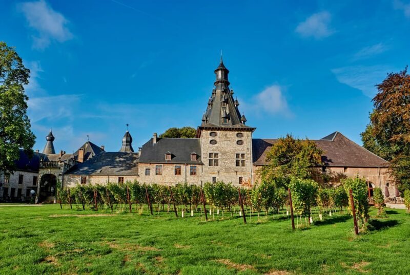 Bioul (near Dinant) : Château de Bioul Tour and Wine Tasting - The Sum Up