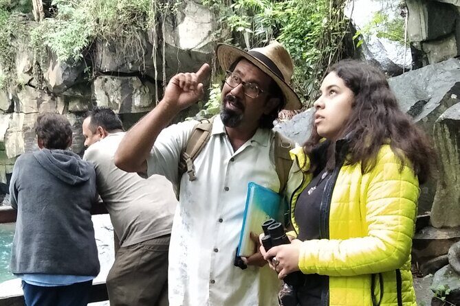 Bird Observation in the National Park of Uruapan. - An In-Depth Look at the Bird Observation Tour in Uruapan