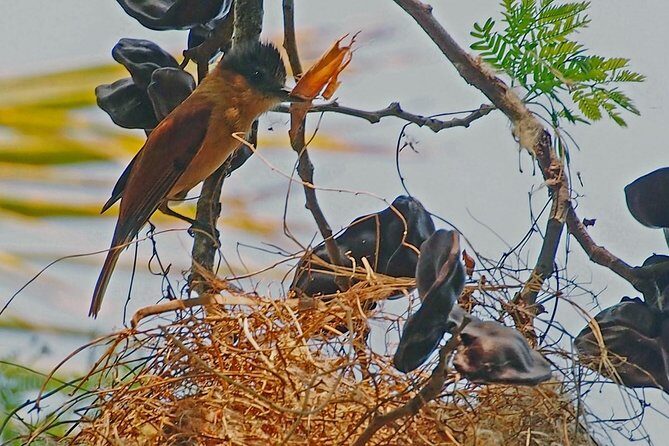 Bird watching in La Mancha - Who Would Love This Experience?