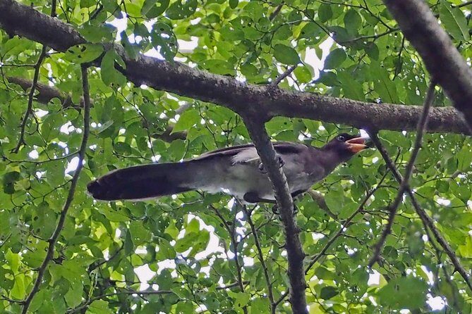 Bird watching in La Mancha - Final Takeaway
