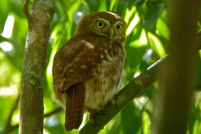 Bird Watching in Sian Ka´an Muyil - What to Expect from the Tour