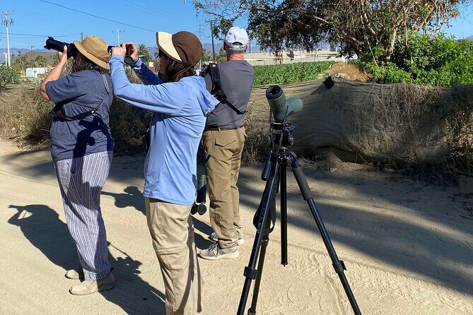 Birding By Sea and Land 4hr. La Paz Mexico - An In-Depth Look at the Tour Itinerary