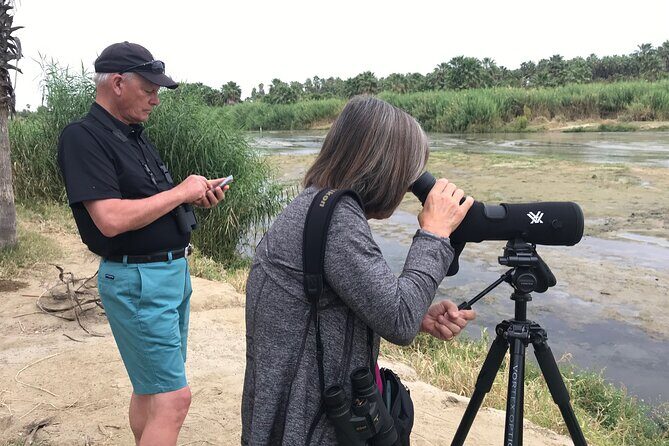 Birding San Jose Estuary Los Cabos Mexico - Key Points