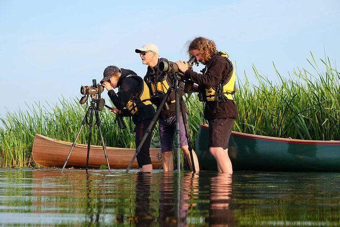 BIRDWATCH - Premium guided canoe tour at Cape Vente, Nemunas Delta Regional Park - Introducing the Birdwatching Canoe Tour at Cape Vente
