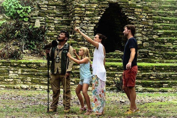 Birdwatching at The Mayan Cities with certified guide - FAQ