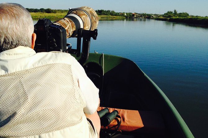 Birdwatching by boat in a small group in the Pialassa Baiona - Key Points