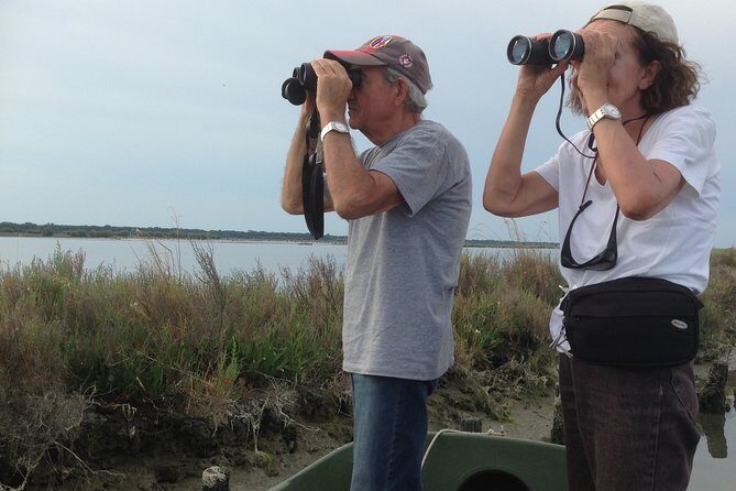 Birdwatching by boat in a small group in the Pialassa Baiona - What to Expect During the Tour