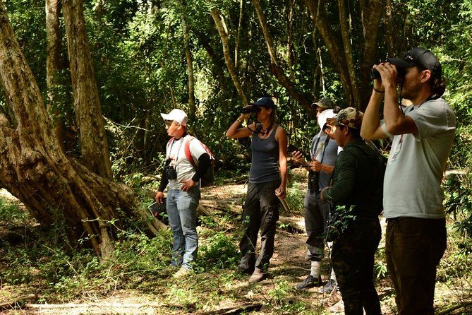 Birdwatching in Coba from Tulum - Shared Group Tour - FAQ