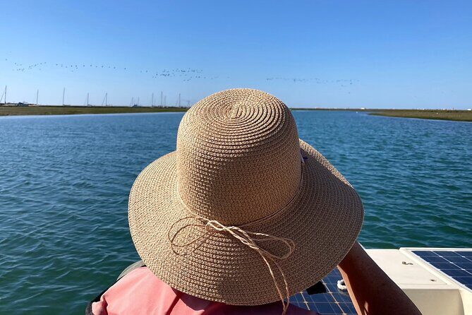Birdwatching in Ria Formosa - Eco Boat Tour from Faro - The Sum Up