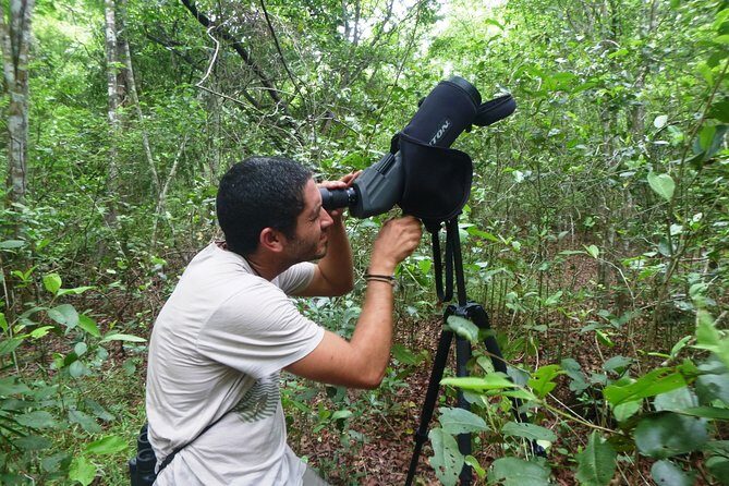 Birdwatching in Sian Ka´an Muyil from Tulum - Shared Group Tour - Who Might Want to Consider Other Options