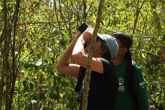 Birdwatching Sian Ka'an Biosphere Reserve - Practicalities You Should Know