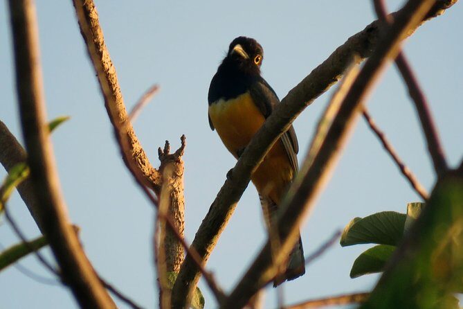 Birdwatching Sian Ka'an Biosphere Reserve - FAQ
