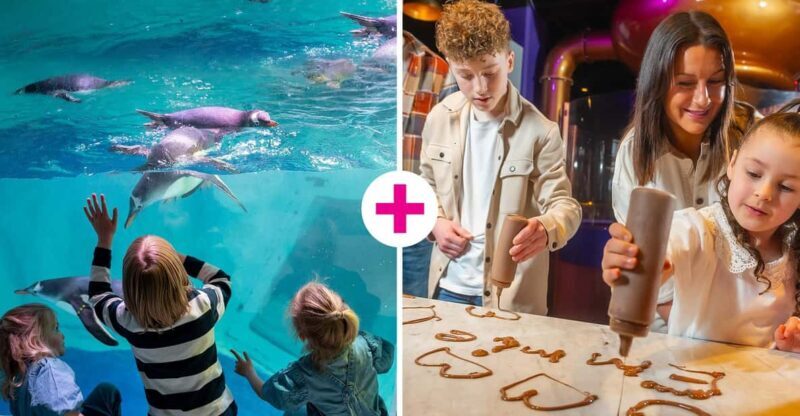 Birmingham: Cadbury World & SEA LIFE Birmingham - The Sum Up: Who Should Consider This Tour?