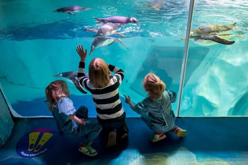 Birmingham: National Sea Life Centre Entrance Ticket - A Closer Look at the Birmingham Sea Life Centre