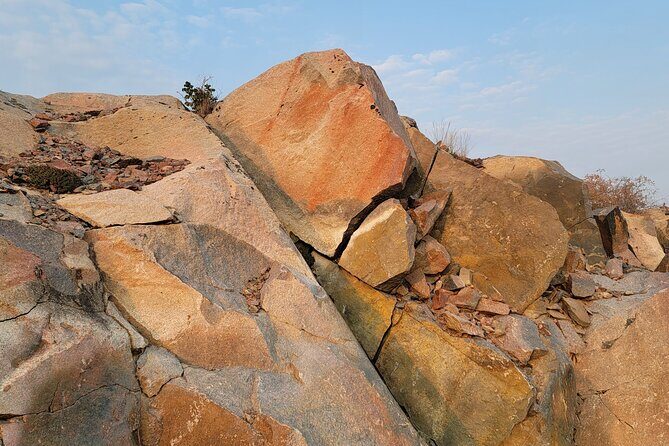 Bison Highway Road Tour - Practical Tips for Your Visit