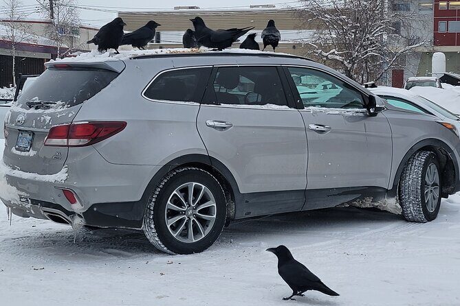 Bison Highway Road Tour - FAQ